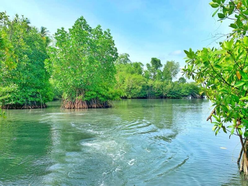 Galle: Koggala Lake Boat Safari with Monkeys Birds & Nature - An In-Depth Look at the Koggala Lake Boat Safari