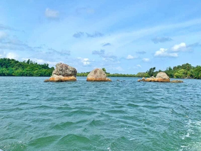 Galle: Koggala Lake Boat Safari with Monkeys Birds & Nature - Final Thoughts