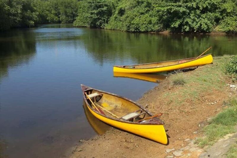 Galle: Lagoon Canoeing Tour with Hotel Pickup - A Closer Look at the Lagoon Canoeing Experience