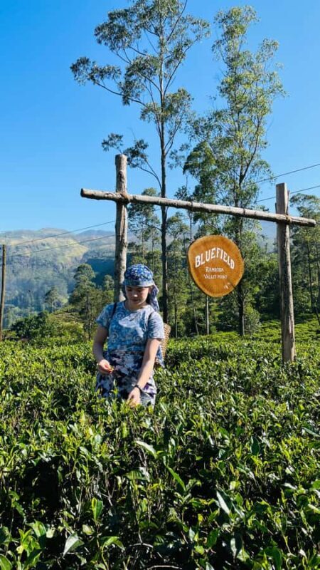 Galle: Nuwara Eliya Private Tour with Tea Factory Visit - Key Points