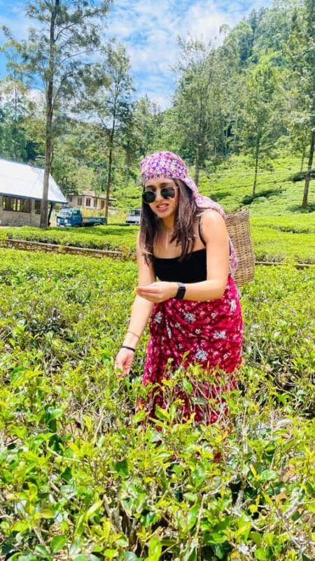 Galle: Nuwara Eliya Private Tour with Tea Factory Visit - Walking Through a Tea Plantation