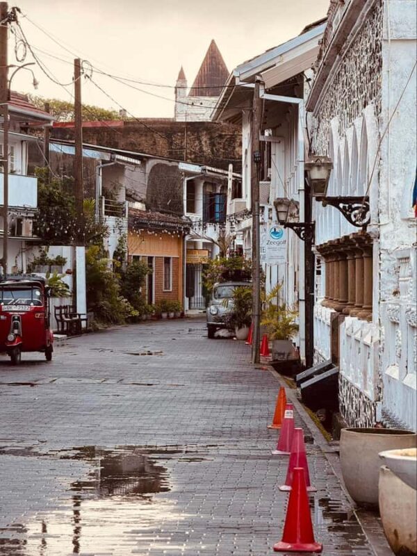 Galle Private Day Tour - River Safari, Turtle Hatchery - Key Points