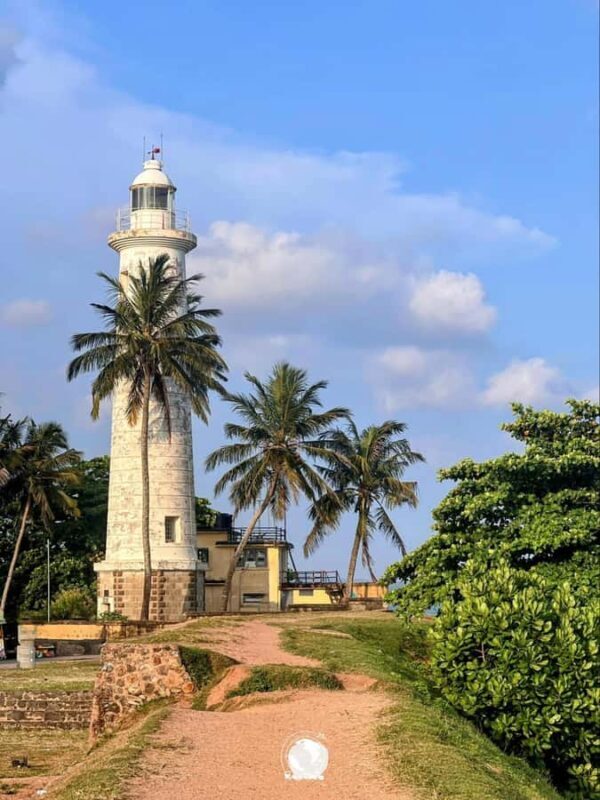 Galle Private Day Tour - River Safari, Turtle Hatchery - A Complete Breakdown of the Tour Experience