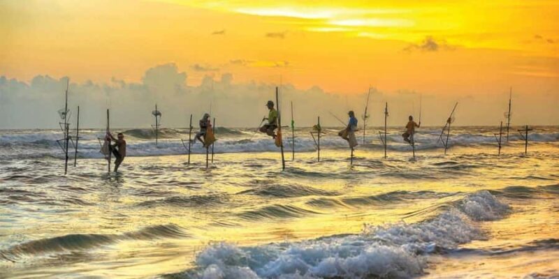 Galle Private Day Tour - River Safari, Turtle Hatchery - Final Thoughts