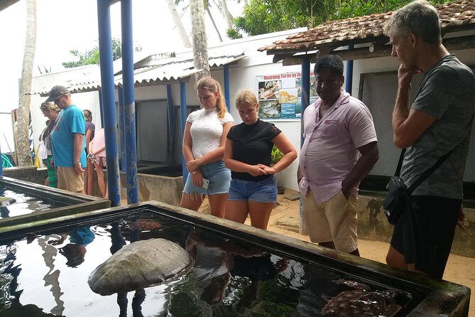 Galle sightseeing tour - Exploring Galle Fort and Its Historic Charm