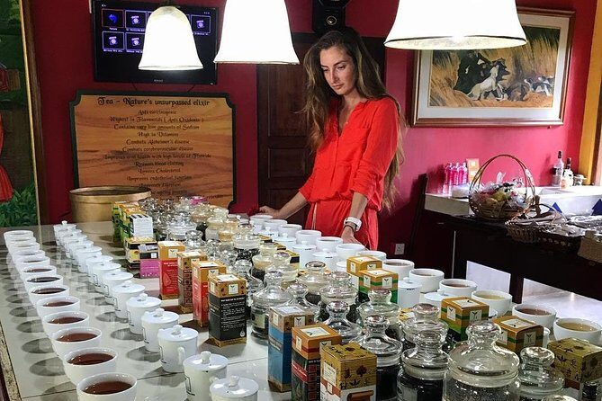 Galle sightseeing tour - Logistical Considerations and Value