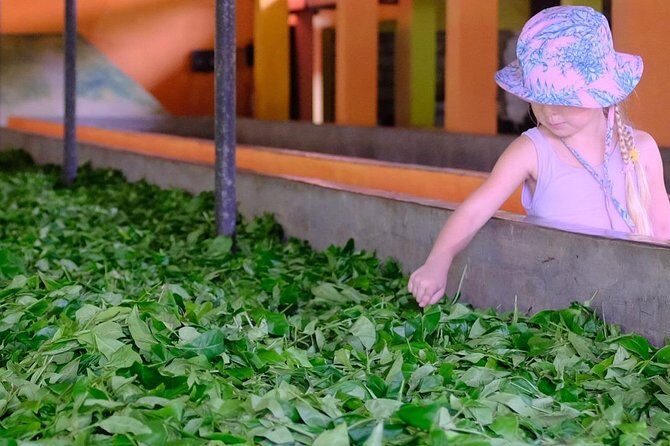 Galle sightseeing tour - Frequently Asked Questions