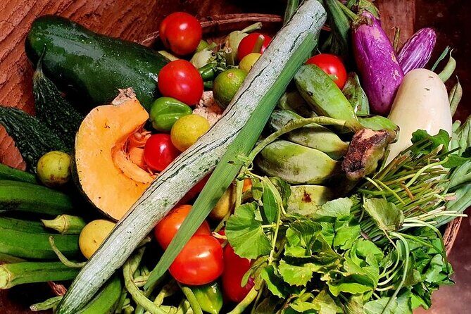 Galle Village Cooking Class by AGS - What Makes This Tour Stand Out?