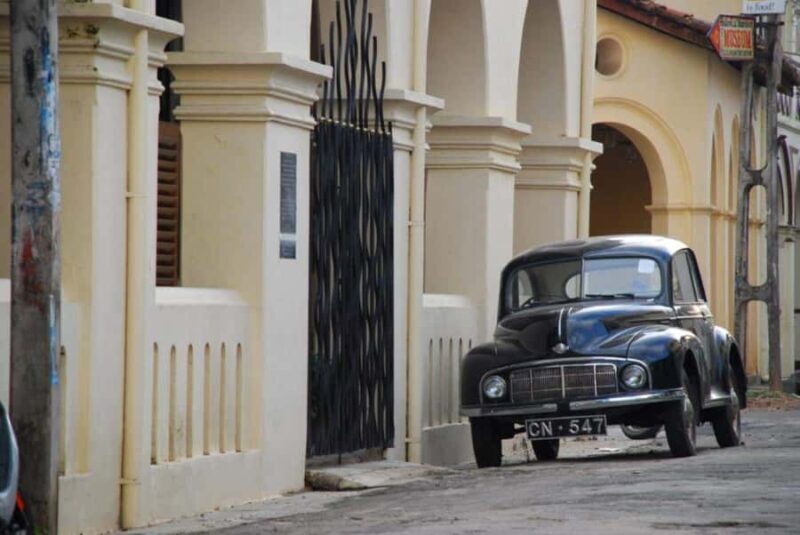 Galle with Turtle Hatchery & Mangrove Safari All Inclusive - Who Will Love This Tour?