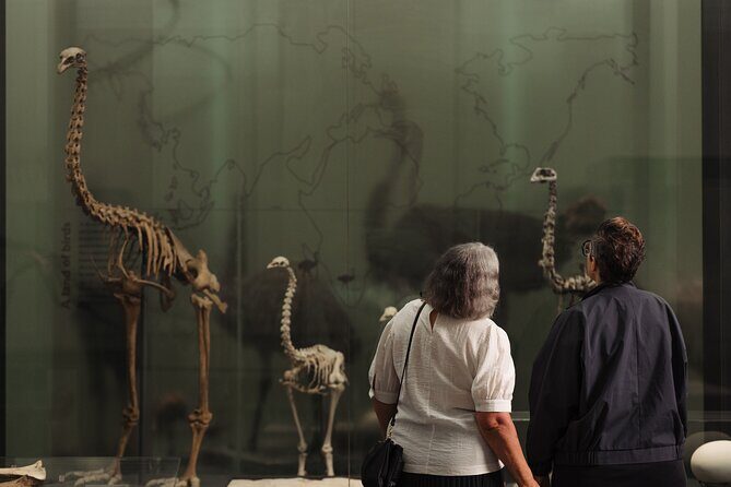 Gallery Highlights Tour and General Admission - Practical Tips for Visitors