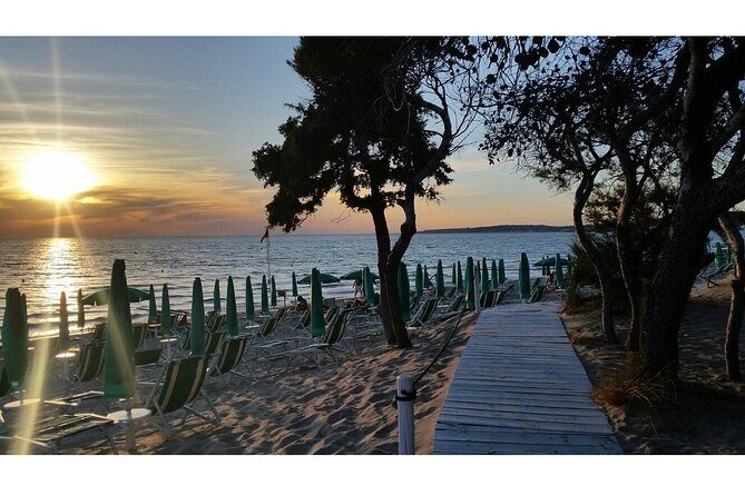 Gallipoli Full Day Private Tour: Coast, Beaches and Wineries - Key Points