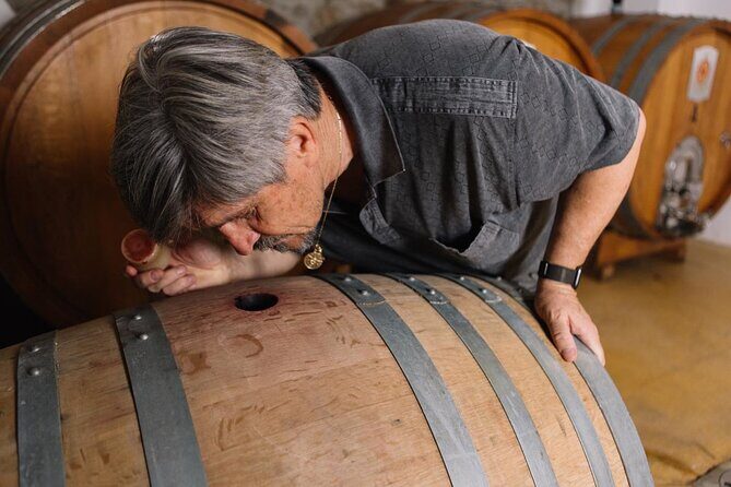 Gallura Winery with Wine Tasting in Olbia - A More Detailed Look at the Tour Itself