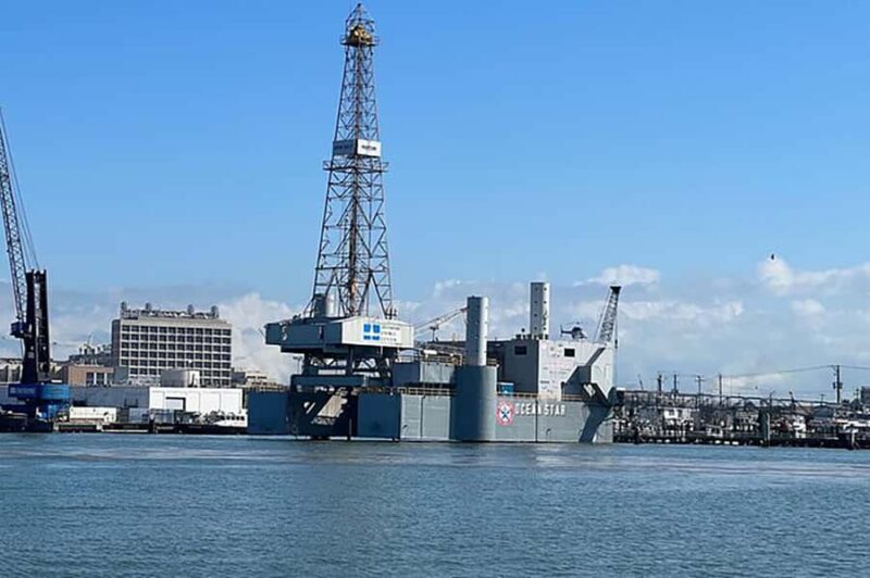 Galveston: Dolphin-Watching Cruise - Practical Considerations