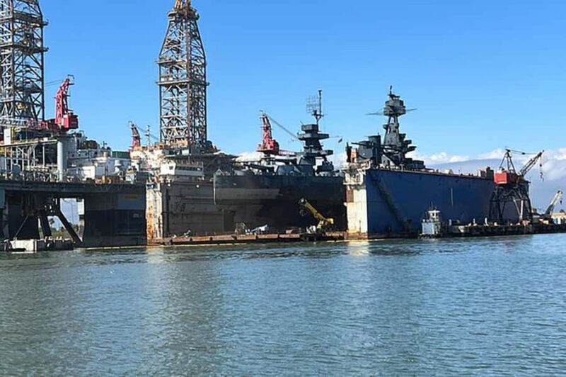 Galveston: Dolphin-Watching Cruise - Frequently Asked Questions