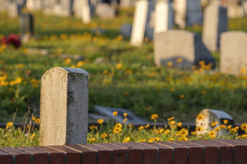 Galveston: Old City Cemetery Walking Tour with Local Guide - Key Points