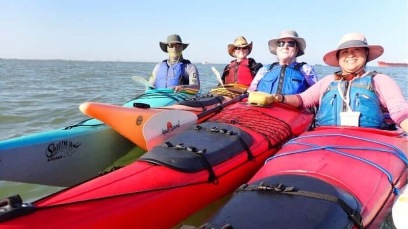 Galveston: Sea Kayaking Tour with Harbor Views - An Authentic Look at Galveston’s Harbor on a Kayak