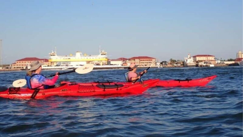 Galveston: Sea Kayaking Tour with Harbor Views - Value and Overall Impression