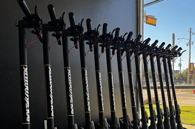 Galveston Sightseeing Self Guided Tour S2 Pro E Scooter - Who Will Love This Experience?