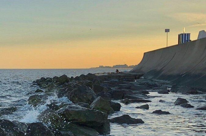 Galveston Tour - An In-Depth Look at the Tour Experience