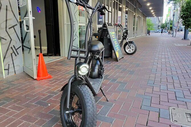 Galveston U2 Pro Self Guided Tour - Who Will Love This Experience?