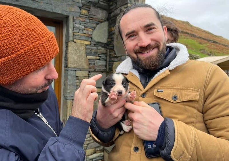 Galway: Connemara, Sheepdog Show and Medieval Castle Tour - Key Points