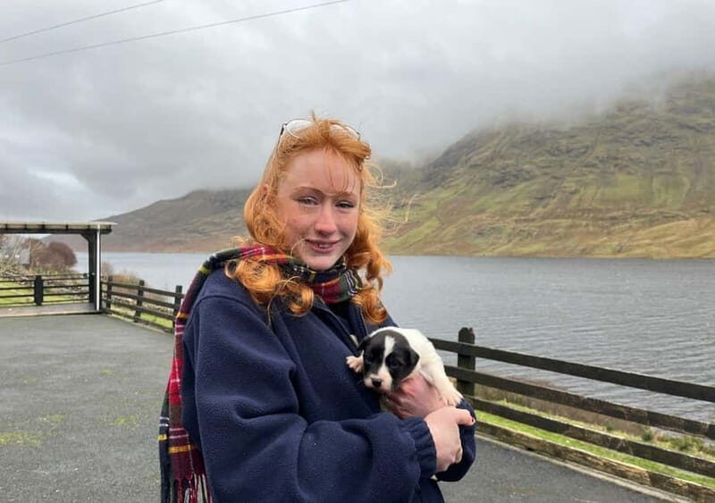 Galway: Connemara, Sheepdog Show and Medieval Castle Tour - Exploring the Connemara Region