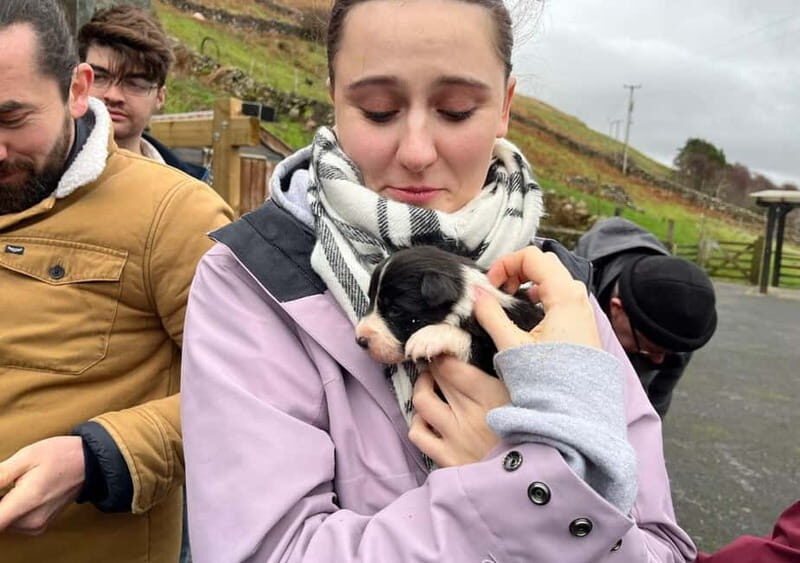 Galway: Connemara, Sheepdog Show and Medieval Castle Tour - What to Expect and Tips for Travelers