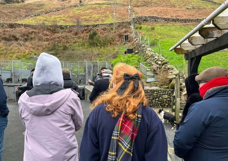 Galway: Connemara, Sheepdog Show and Medieval Castle Tour - Authentic Irish Experiences in a Nutshell