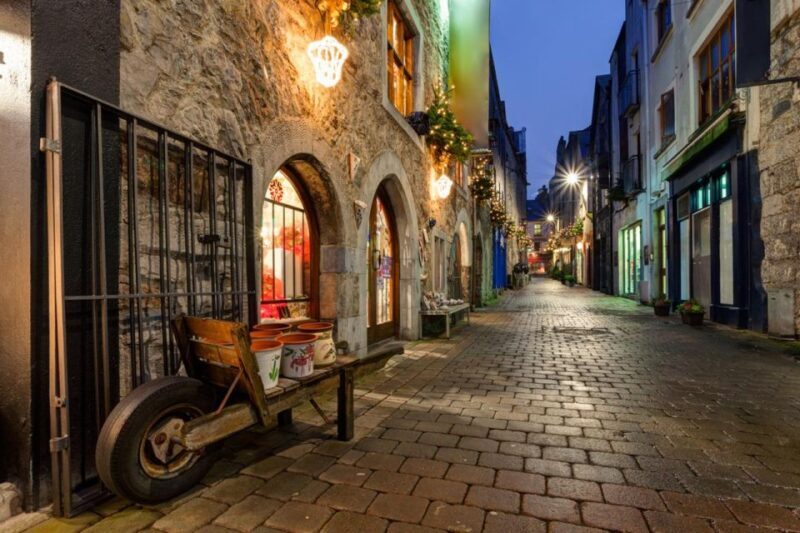 Galway Gourmet Adventure: A Culinary Odyssey - Who Would Love This Tour?
