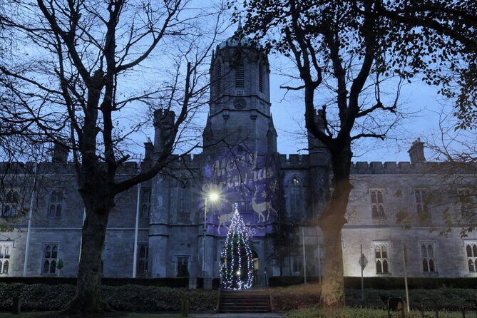 Galway Historic city Tour - 2.5hr Family & Friends Private groups - The Value of the Tour