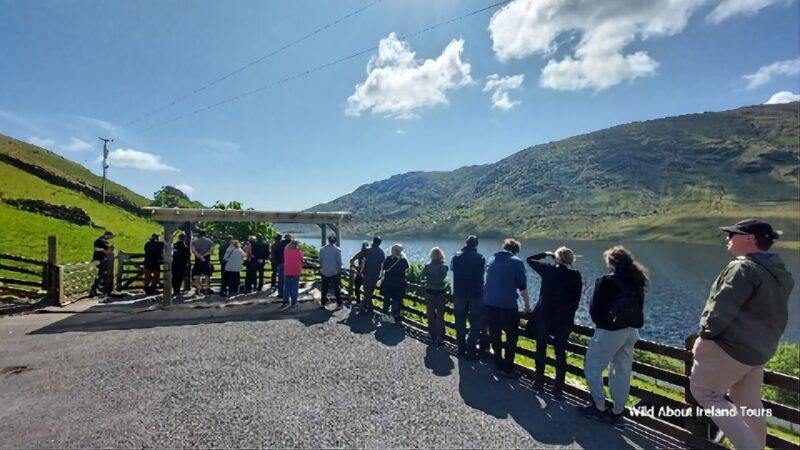 Galway: Kylemore, Sheep Farm and Connemara Private Day Tour - Key Points