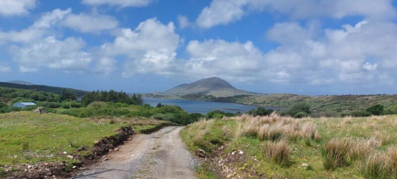 Galway: Kylemore, Sheep Farm and Connemara Private Day Tour - A Look Inside the Tour Experience
