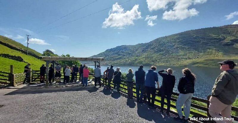 Galway: Kylemore, Sheep Farm and Connemara Private Day Tour - Authenticity and Comfort in a Compact Package
