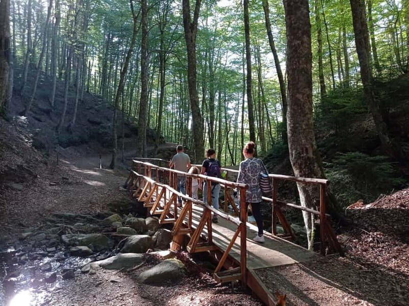 Gambarie: Private Guided Forest Trekking Tour - An Authentic Walk through Calabria’s Enchanted Forest