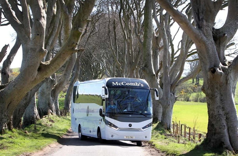 Game of Thrones and Giant's Causeway Day Tour from Belfast - The Final Stretch: The Dark Hedges and Return