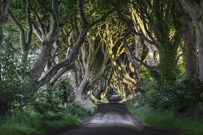 Game of Thrones - Private Audi A6 tour with Richard the Wildling - A Closer Look at the Game of Thrones Private Tour with Richard the Wildling