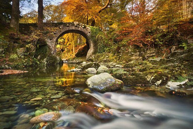 Game of Thrones - Tollymore Forest Trek - The Experience: What Youll Get