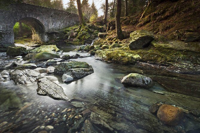 Game of Thrones - Tollymore Forest Trek - The Guide and Small Groups