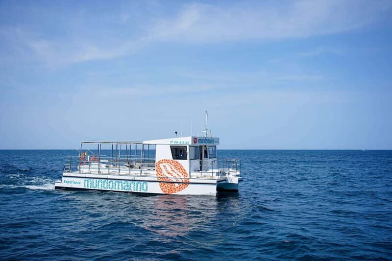 Gandía: Boat trip in Gandía Bay - Key Points