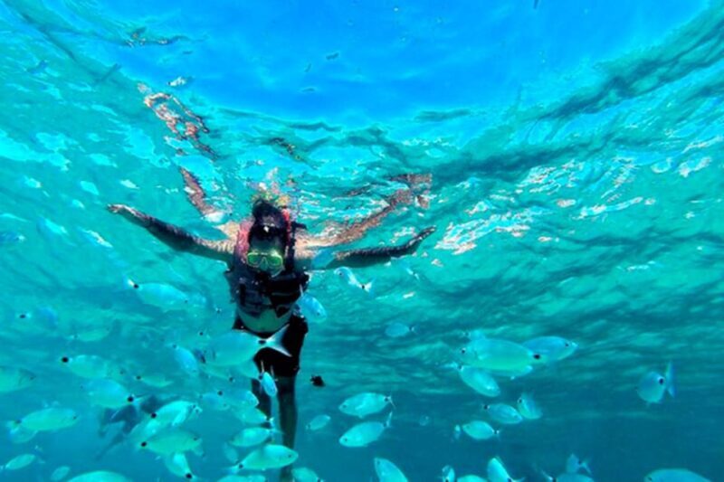 Gandía: Only Adults Boat Party with swim & optional meal - Who Would Love This Experience?