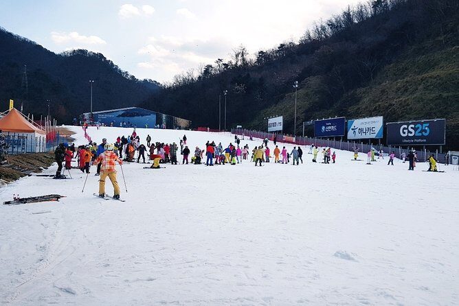 Gangchon Elysian Ski Day Trip from Seoul - The Experience: A Closer Look at the Itinerary