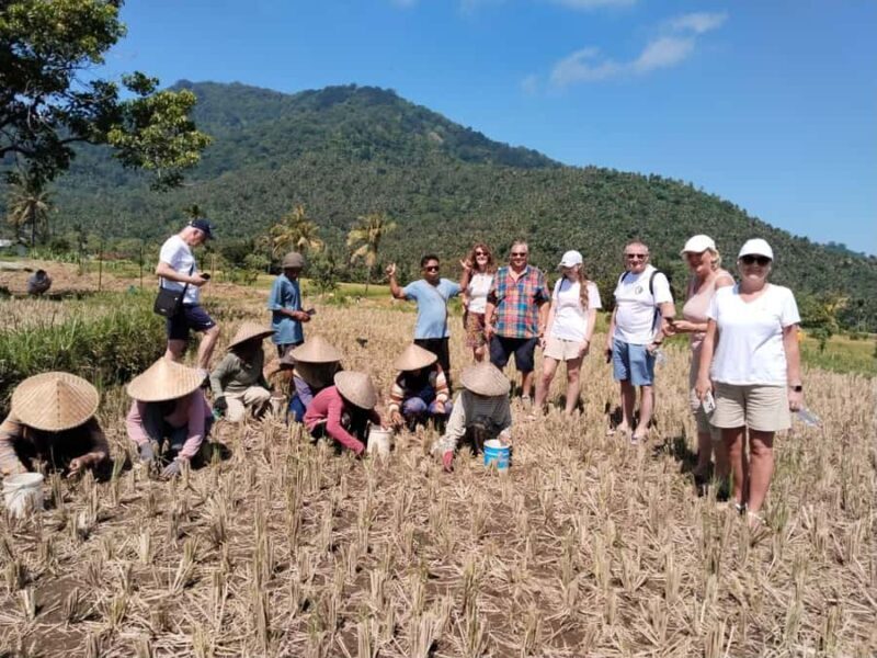 Gangga Village Walking Tour & Kertagangga Waterfall Lombok - A Closer Look at the Experience