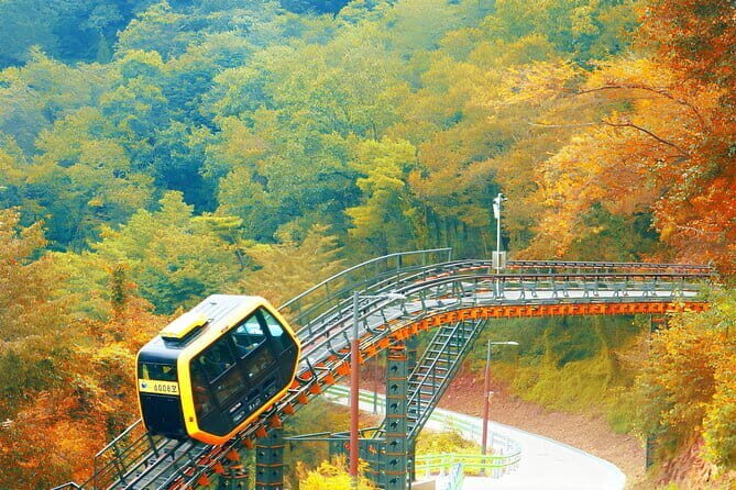 Ganghwa DMZ + Traditional Market + Hwagae Garden Day Tour - Starting in Seoul: Easy and Punctual Pickup