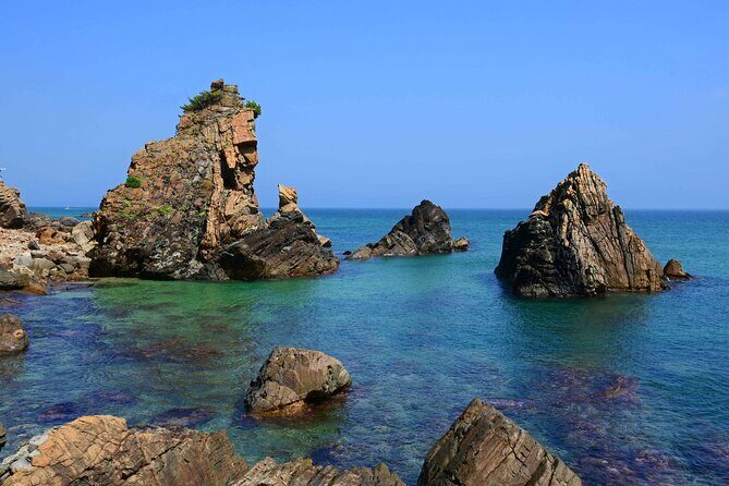 Gangneung Day Tour from Seoul: Haslla art-world & Seaside trail - FAQs