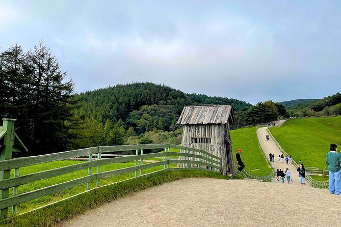 Gangneung Sightseeing Day Tour - The Sum Up