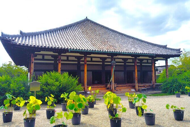 Gango-ji Temple World Heritage Tour & Naramachi Old Town Walk - Exploring Nara in 90 Minutes: Gango-ji Temple & Naramachi Old Town Walk