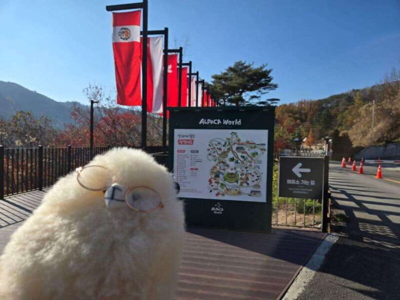 Gangwon 2D1N Trip: Chuncheon-Hongcheon with Accommodation - Key Points