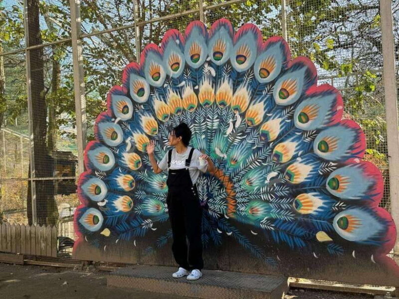 Gangwon 2D1N Trip: Chuncheon-Hongcheon with Accommodation - What’s Included & What’s Not