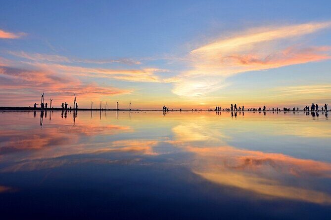 Gaomei Wetland Day Trip from Ximending - Introduction