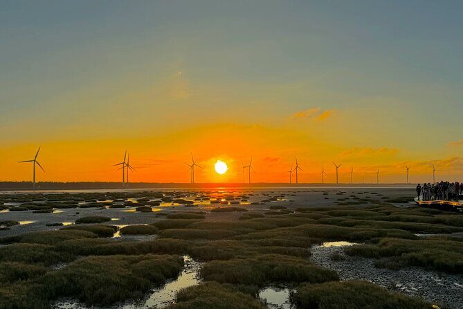 Gaomei Wetland Day Trip from Ximending - Key Points